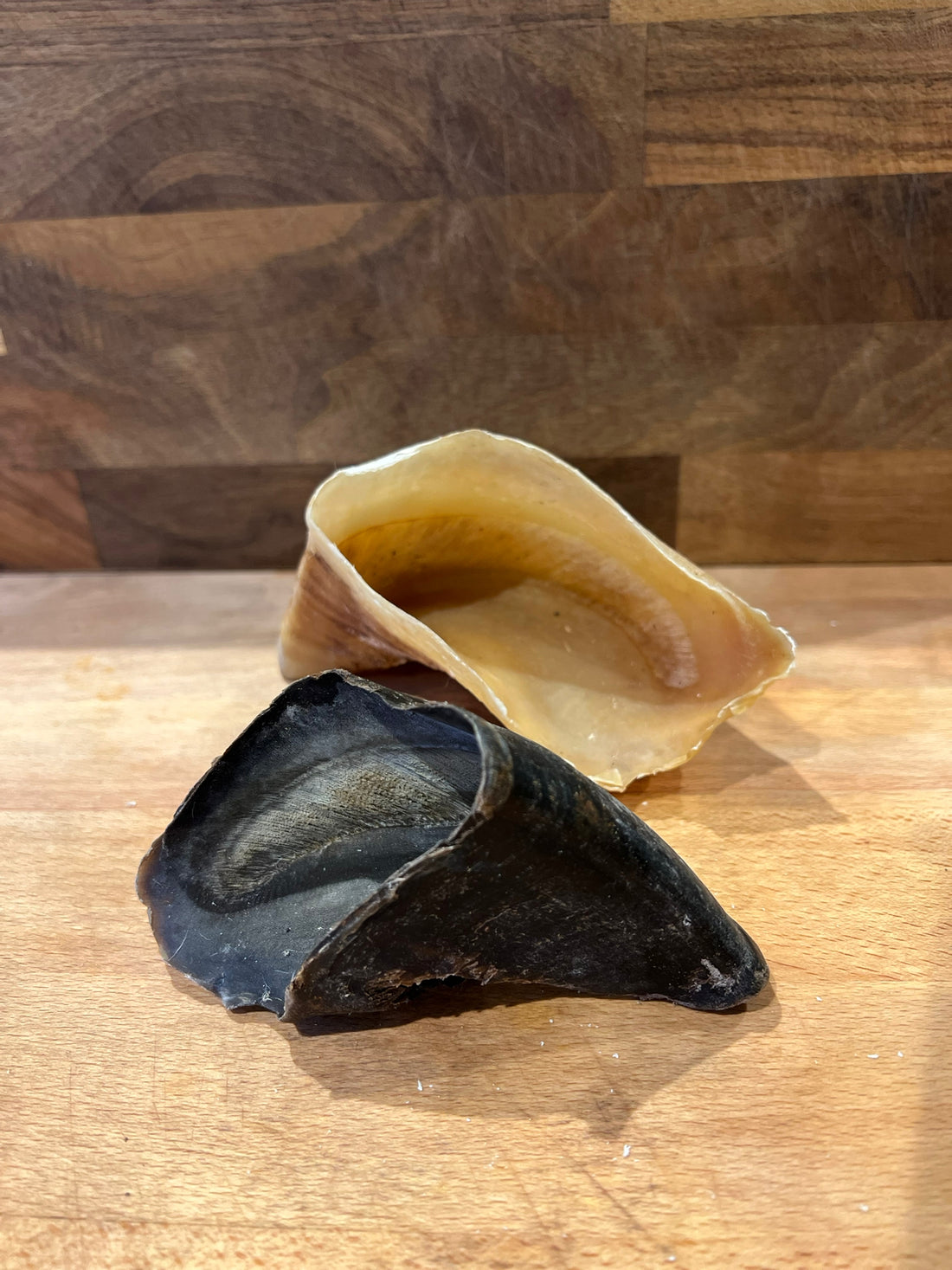 Empty Cow Hooves – Nature's Pets Ltd
