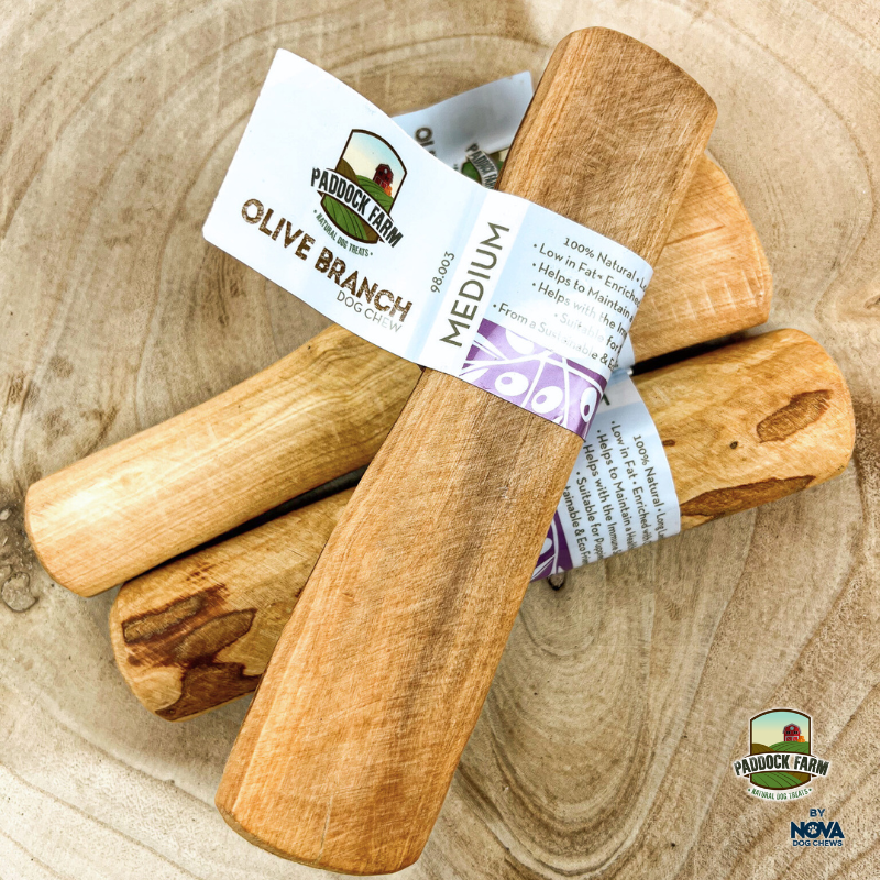 Olive Wood Dog Chew – Nature's Pets Ltd